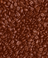 Freshly Roasted Specialty Coffee Since 1909 – WB Law Coffee Co.