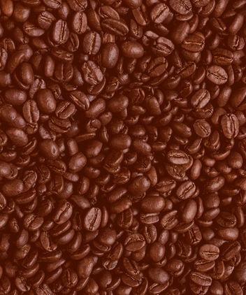Freshly Roasted Specialty Coffee Since 1909 – WB Law Coffee Co.