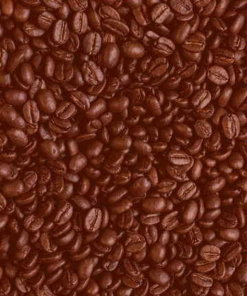 Freshly Roasted Specialty Coffee Since 1909 – WB Law Coffee Co.